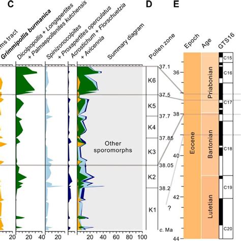 A Details Of Sedimentary Log Referring To Fig 1b B And Df Sequence
