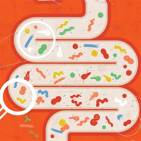 The Gut Microbiome What Is It