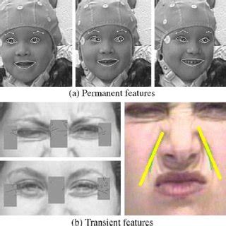 PDF Facial Expression Recognition