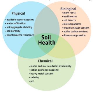 Soil Health Management