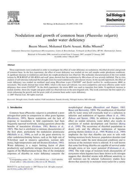 Pdf Nodulation And Growth Of Common Bean Phaseolus Vulgaris Under