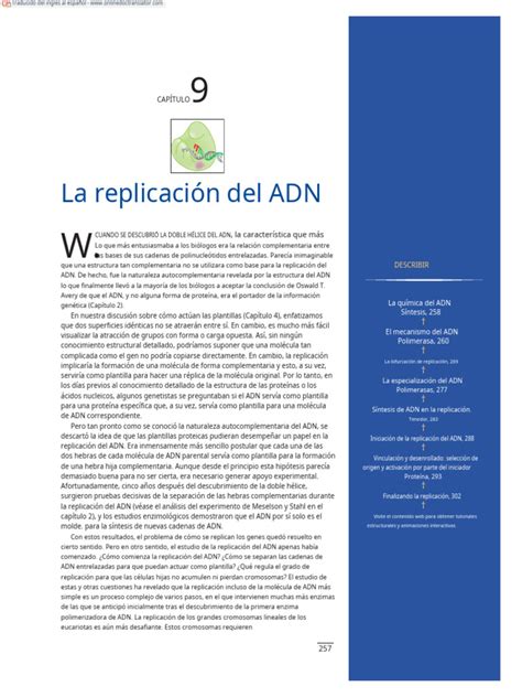 Lectura Replicación Del Adn 01 25 En Es Descargar Gratis Pdf
