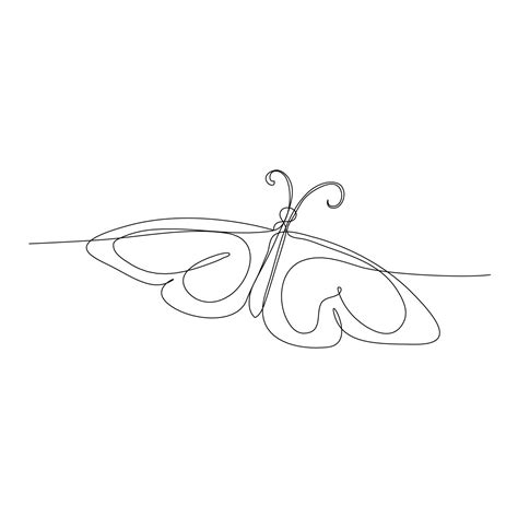 Continuous Line Art Or One Line Butterfly Drawing For Vector Illustration Insects In Spring