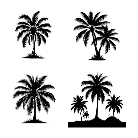 Premium Vector Coconut Tree Tropical Vector Design1