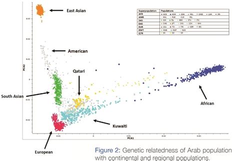 Genetic Variability In Protein Coding Regions Of The Human Genomes From