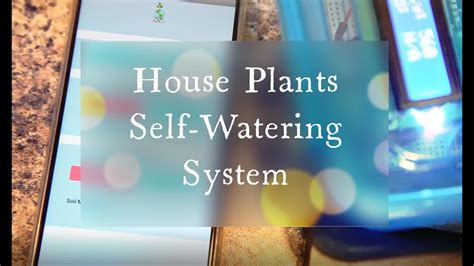 Iryna Kabanenko On Linkedin House Plants Watering System With Mobile App Prototype From