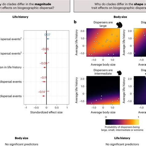 the role of traits in biogeographic dispersal a distributions of