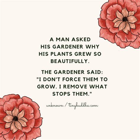 I Dont Force Them To Grow Tiny Buddha