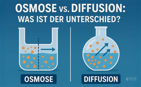 Osmose Vs Diffusion Was Ist Der Unterschied Bluewater