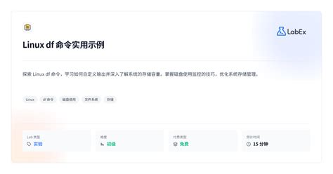 Linux Df 命令实用教程与示例 Labex