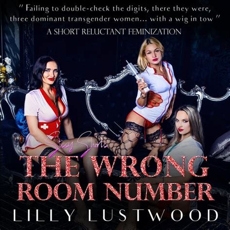 The Wrong Room Number A Short Forced Feminization Sissy Story