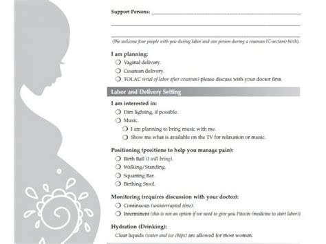 Planned C Section Birth Plan Template 47 Printable Birth Plan Templates