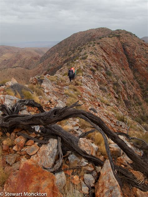 Paying Ready Attention Photo Gallery Larapinta Trail Sections 4 To 8