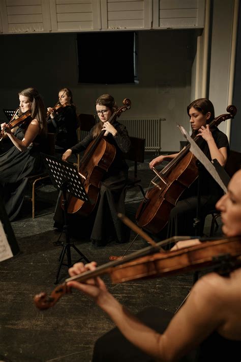 강당 격식있는 옷차림 공연하는 교향곡 교회 기악 앙상블 놀이 라이브 오케스트라 라이브 음악 목관 악기 문화 행사 뮤지션 바람 섹션 바이올린 밴드