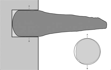 Researchers May Have Discovered The Oldest Known Roman Sex Toy The Vintage News