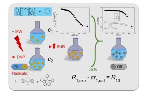 125 Hyperpolarization By Dnp And Molecular Dynamics Eliminating The