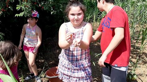 სოფელში აკო და პრინცესებთან ერთად Ako And Princesses აკო და პრინცესები Youtube