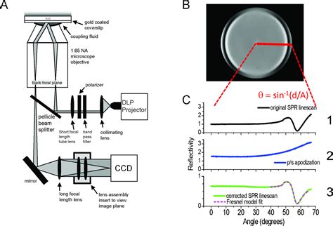 Surface Plasmon Resonance Microscopy Achieving A Quantitative Optical