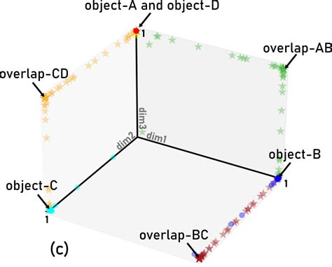 Dorit Merhof Lehrstuhl Für Bildverarbeitung Der Rwth Aachen