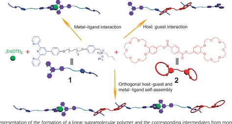 Figure 1 From Supramolecular Polymers Constructed By Orthogonal Self
