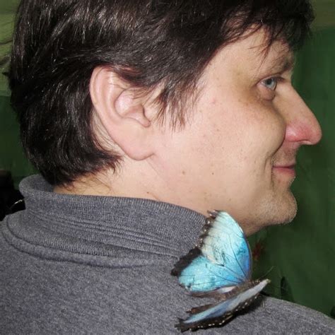 Алексей Андреев Youtube