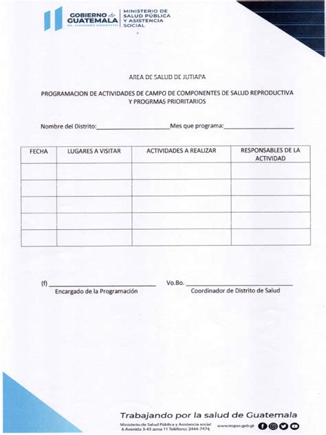 Formato Programacion De Actividades 20220803 08525377 Pdf