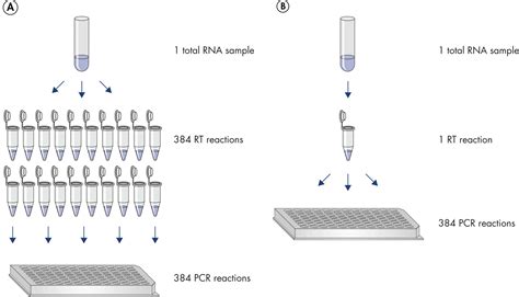 Mircury Lna Mirna Pcr Starter Kit Qpcr Analysis Qiagen
