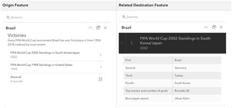 Browsing Related Records With The ArcGIS API For JavaScript