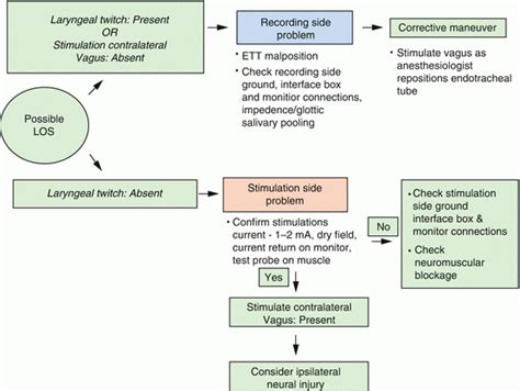 Recurrent Laryngeal Nerve Monitoring Oncohema Key