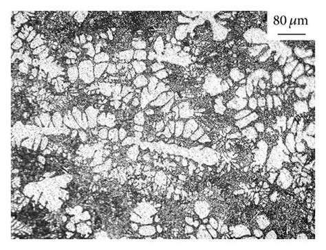 The Microstructure Of The Support Of Sc At Different Pouring Download Scientific Diagram