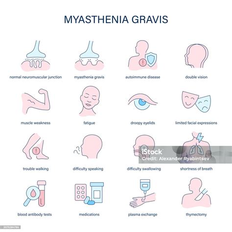 Myasthenia Gravis Symptoms Diagnostic And Treatment Vector Icons