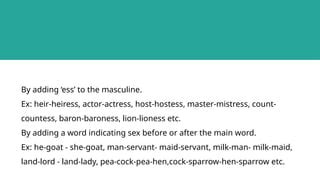 NOUNS Classification Of Nouns Gender Pptx