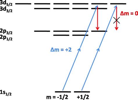 The Polarization Sensitive Lif Detection Scheme Absorption Of Two