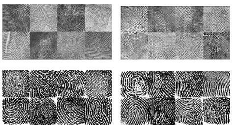 Generative Adversarial Network Produces A Universal Fingerprint That Will Unlock Many