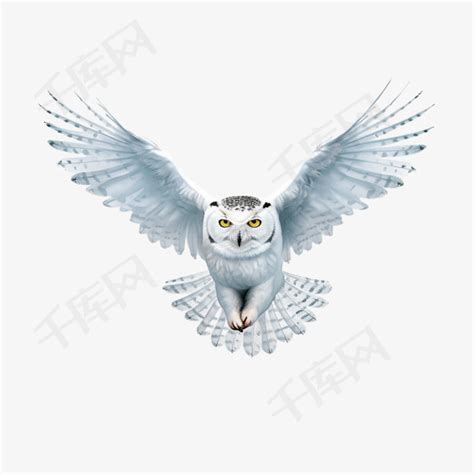 飞翔的极地猫头鹰素材图片免费下载 千库网