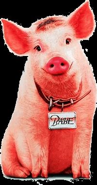 Babe The Pig Charactah Account Wiki Fandom