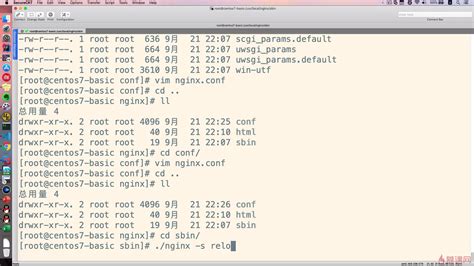 1 06 Nginx显示默认首页过程解析nginx显示主页过程 Csdn博客