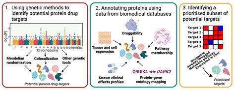 Prioritising Genetic Findings For Drug Target Identification And