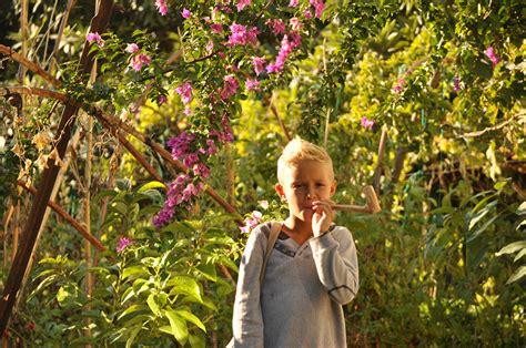 Октябрьское деревенское Chetyrejelania — Livejournal