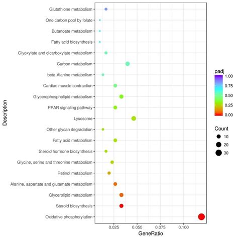 Pathway Analysis Of Degs Download Scientific Diagram