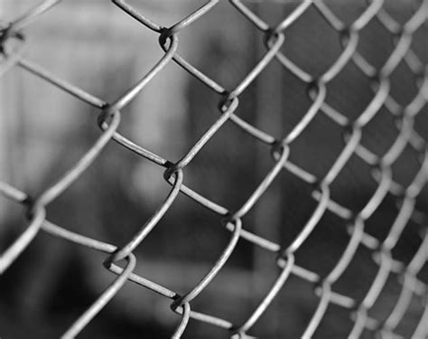 Vente De Grillage Alençon Clôtures Rigides And Souples