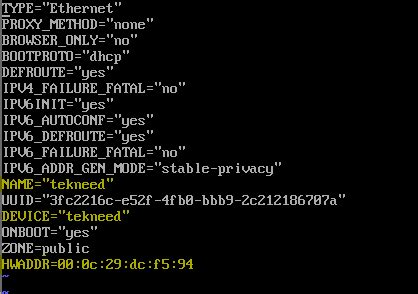How To Rename NIC In Linux CentOS RHEL TekNeed