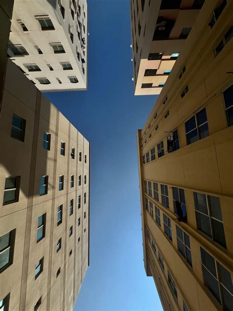 Bow Aesthetic Wallpaper Photos Download The Best Free Bow Aesthetic