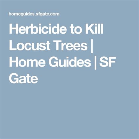 Matchless Tips About How To Kill Locust Trees Blockbath