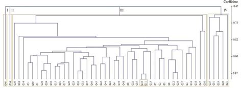 Dendrogram Illustrating Similarity And Cluster Grouping Generated By