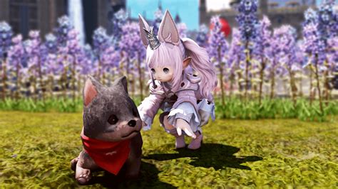 Still My All Time Favourite Minion ♥ Rffxiv