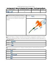 BIO Lab Exercise Answer Sheet Analysis Course Hero