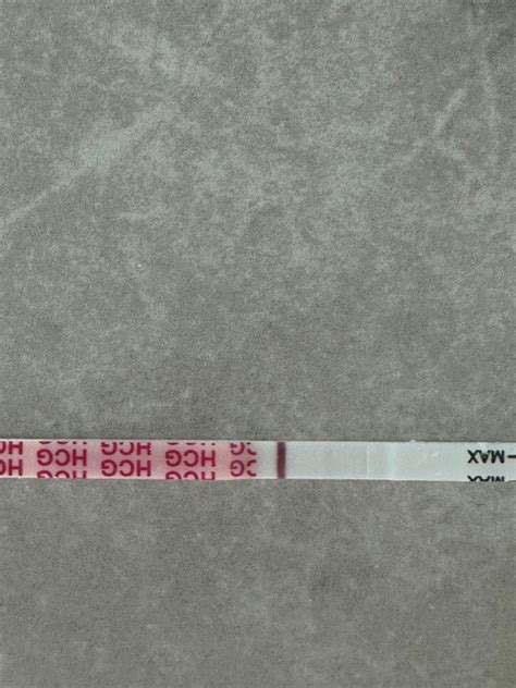 임신테스트 지식in