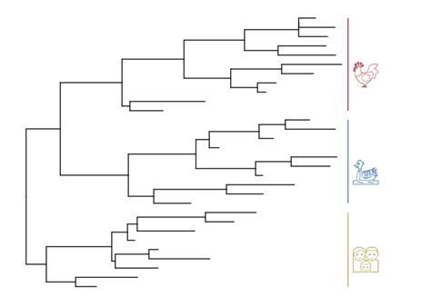 Phylomoji With Ggtree And Emojifont R Bloggers
