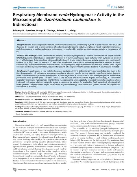 Pdf Respiratory Membrane Endo Hydrogenase Activity In The Microaerophile Azorhizobium